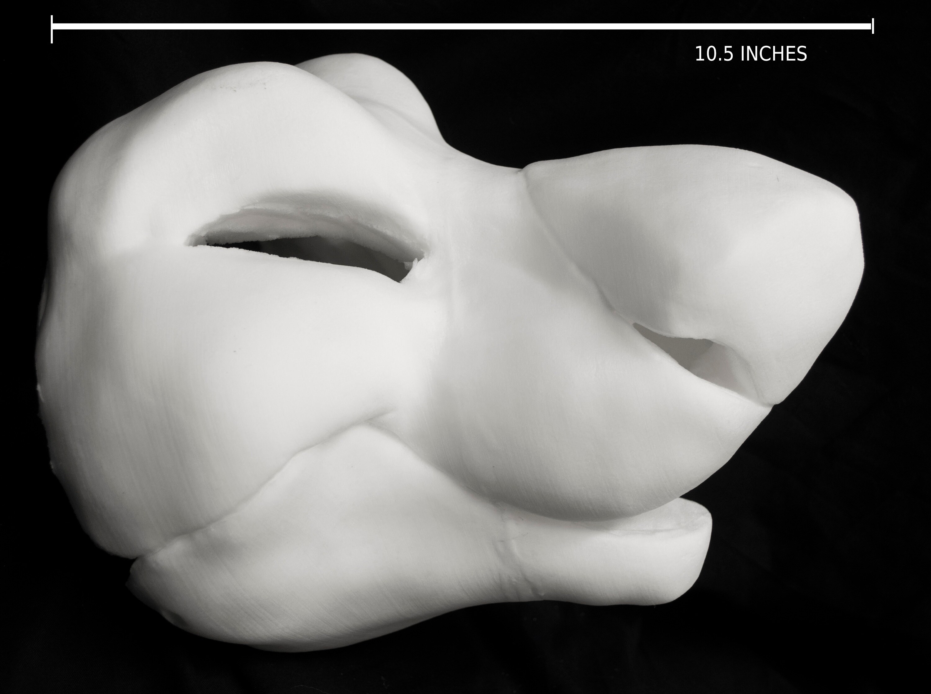 Manokit Bundle Deal: Cut and Carved Head Base, Eyes and Feet Padding ...