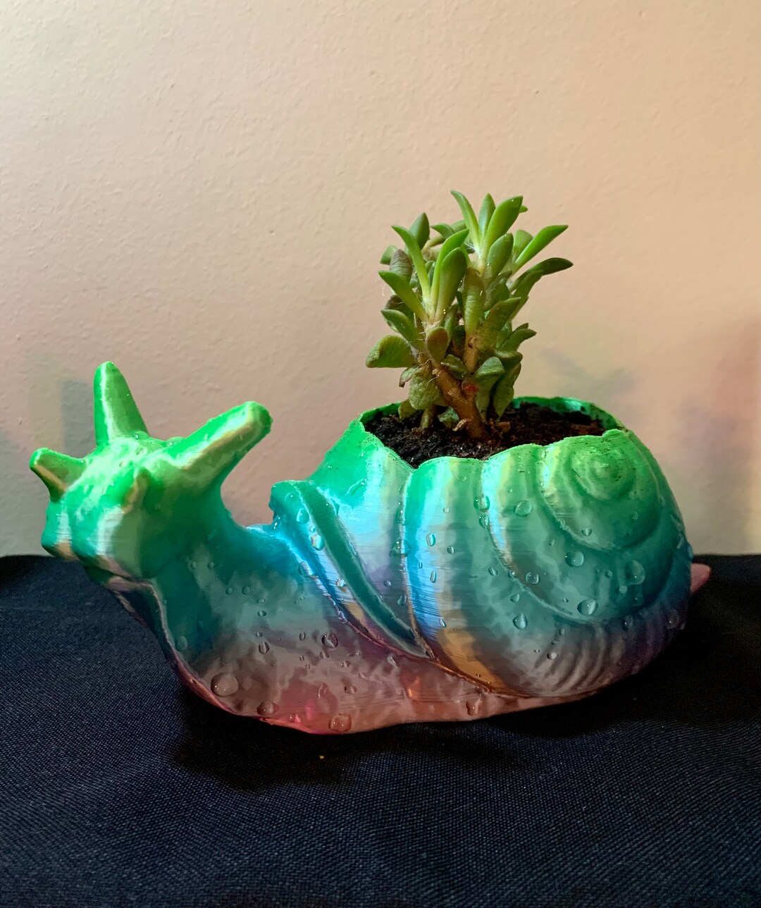 Rainbow 3D Printed Garden Snail Planter Houseplant Pot Ombre Shell ...