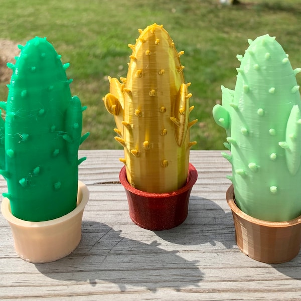Cactus Matches - Etsy