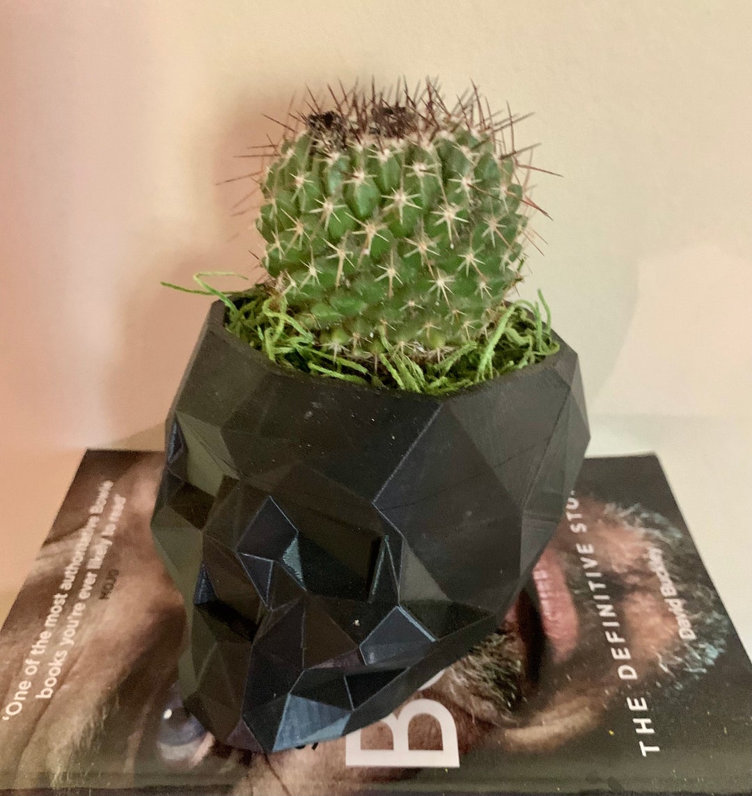 3D Printed Black Geometric Skull Planter - Skeleton Pot - Skull Bowl ...