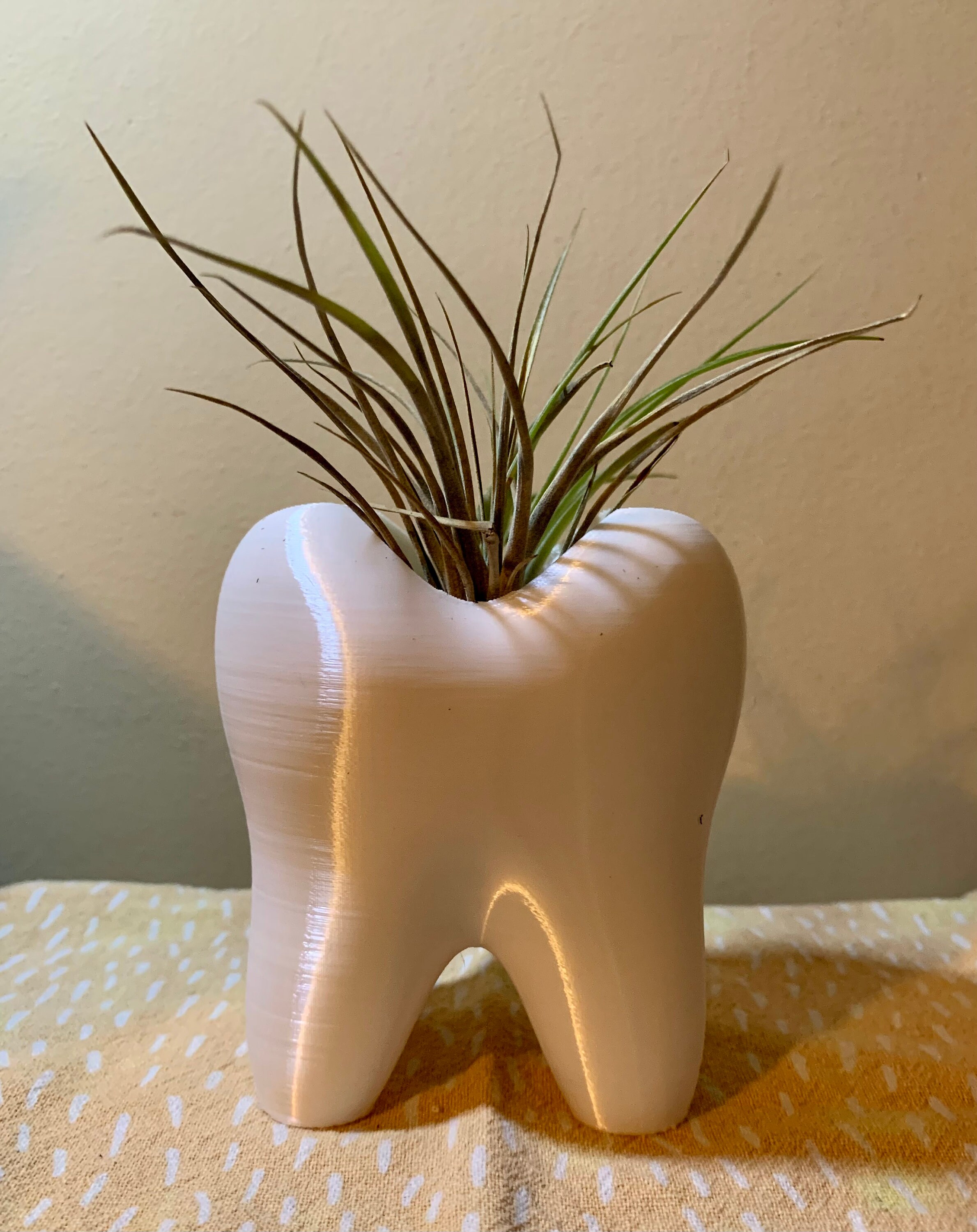 Toothbrush and Toothpaste 3D Printed Cup Tooth Planter Desk - Etsy