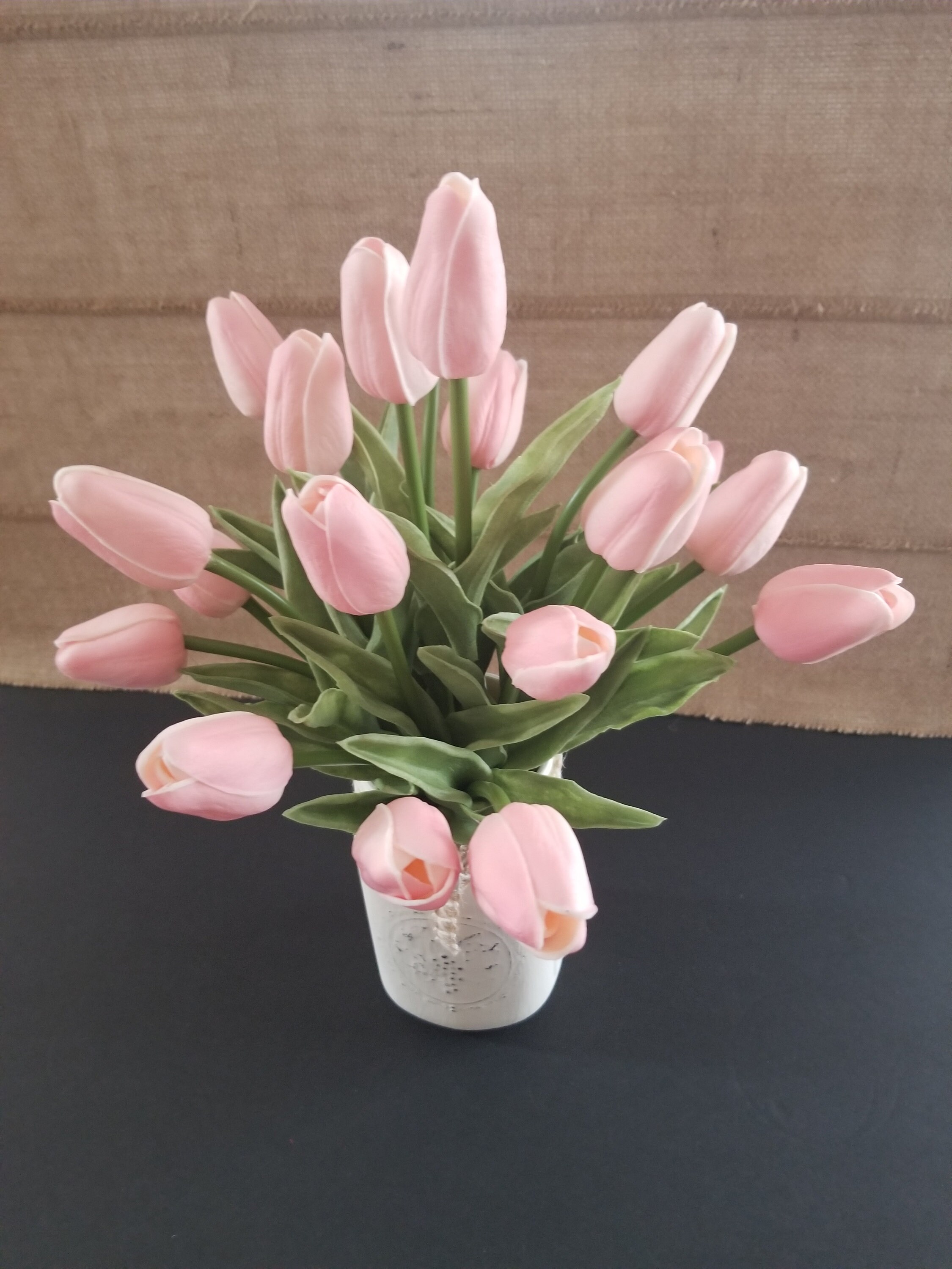Light Pink Tulips Tumblr