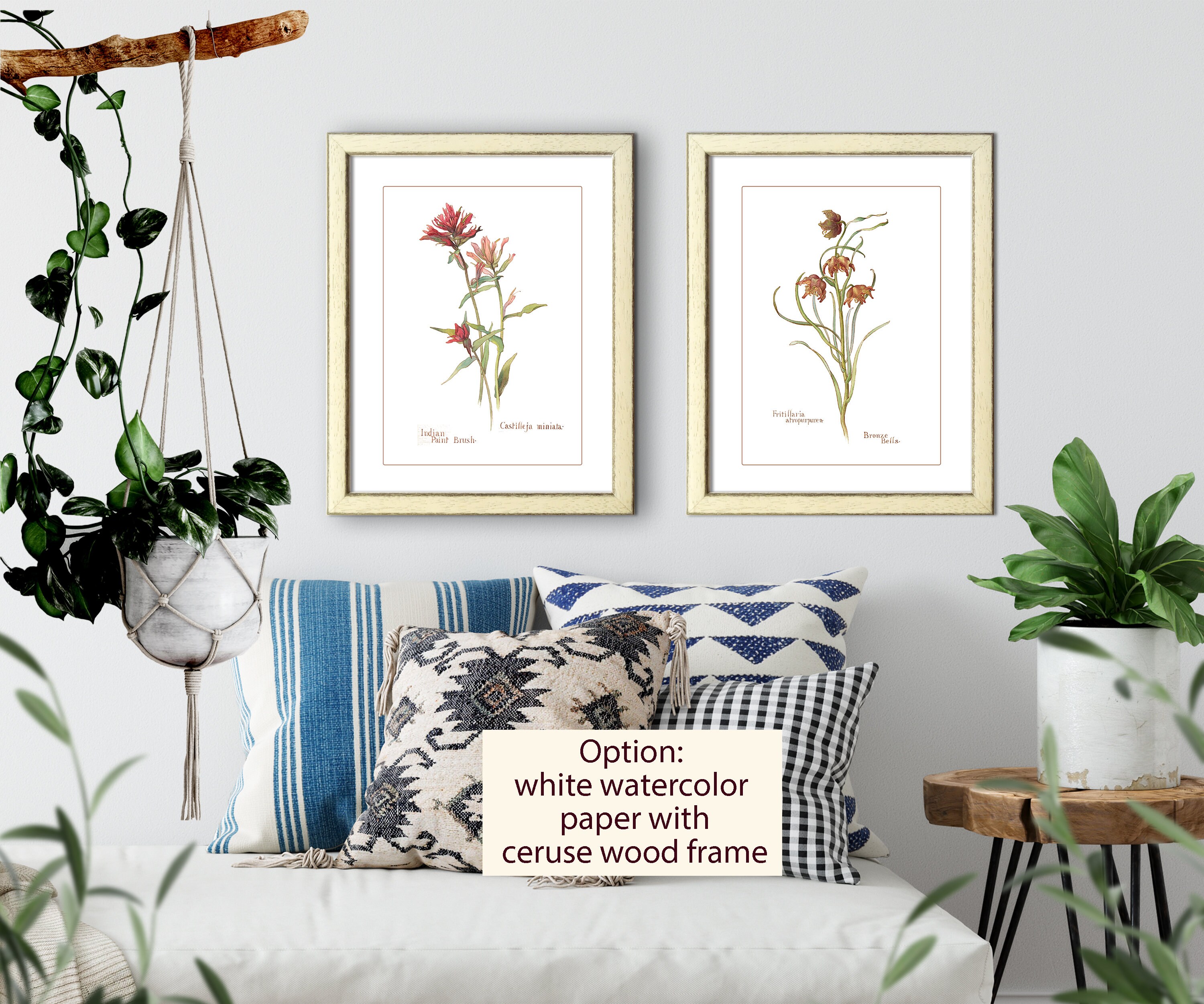 Vintage Wildflower Botanical Illustrations Set of 2 Natural | Etsy