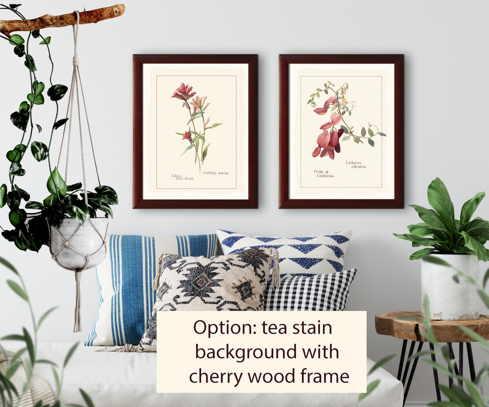 Vintage Wildflower Botanical Illustrations Set of 2 Natural History ...