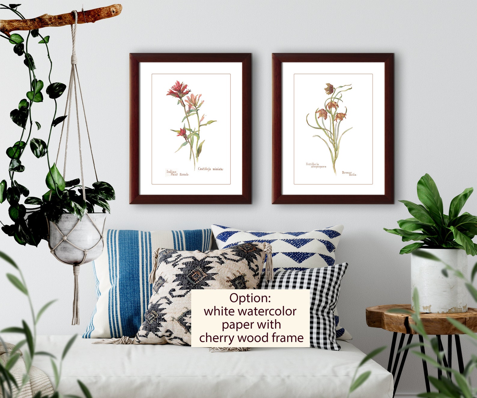 Vintage Wildflower Botanical Illustrations Set of 2 Natural - Etsy