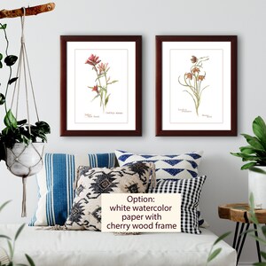 Vintage Wildflower Botanical Illustrations Set of 2 Natural History ...