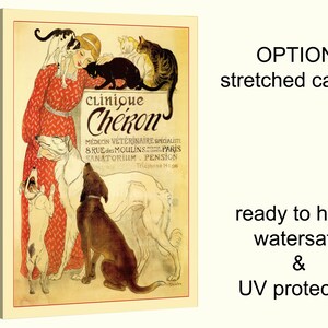 Cat Dog Veterinary Vintage French Advertising Poster Clinique Cheron by ...