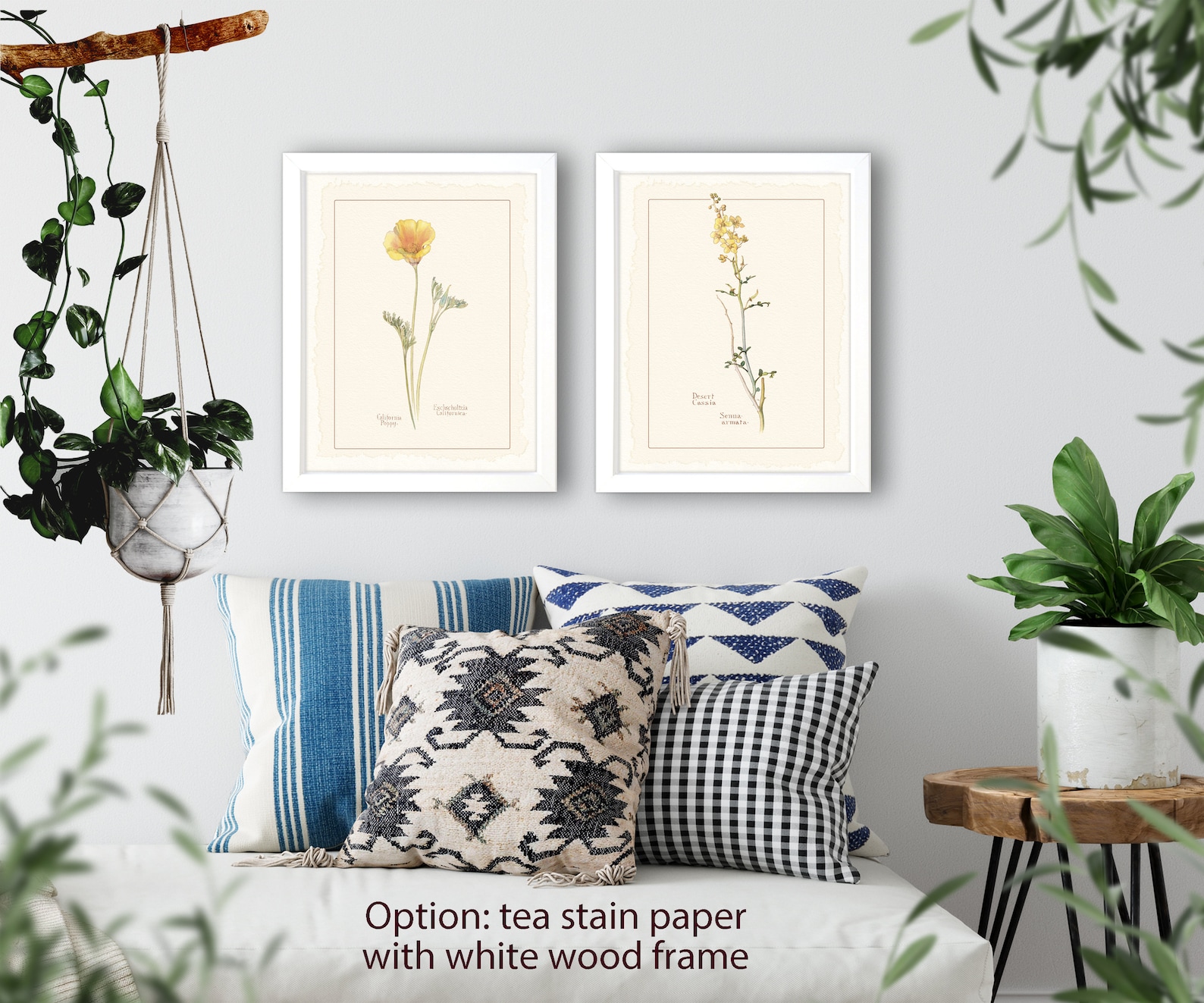 Vintage Wildflower Botanical Illustrations Set of 2 Natural History ...