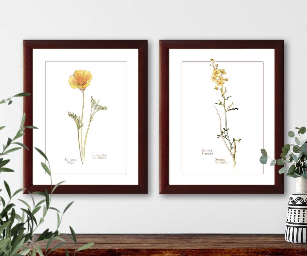 Vintage Wildflower Botanical Illustrations Set of 2 Natural History ...