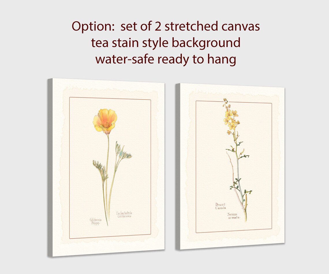 Vintage Wildflower Botanical Illustrations Set of 2 Natural History ...