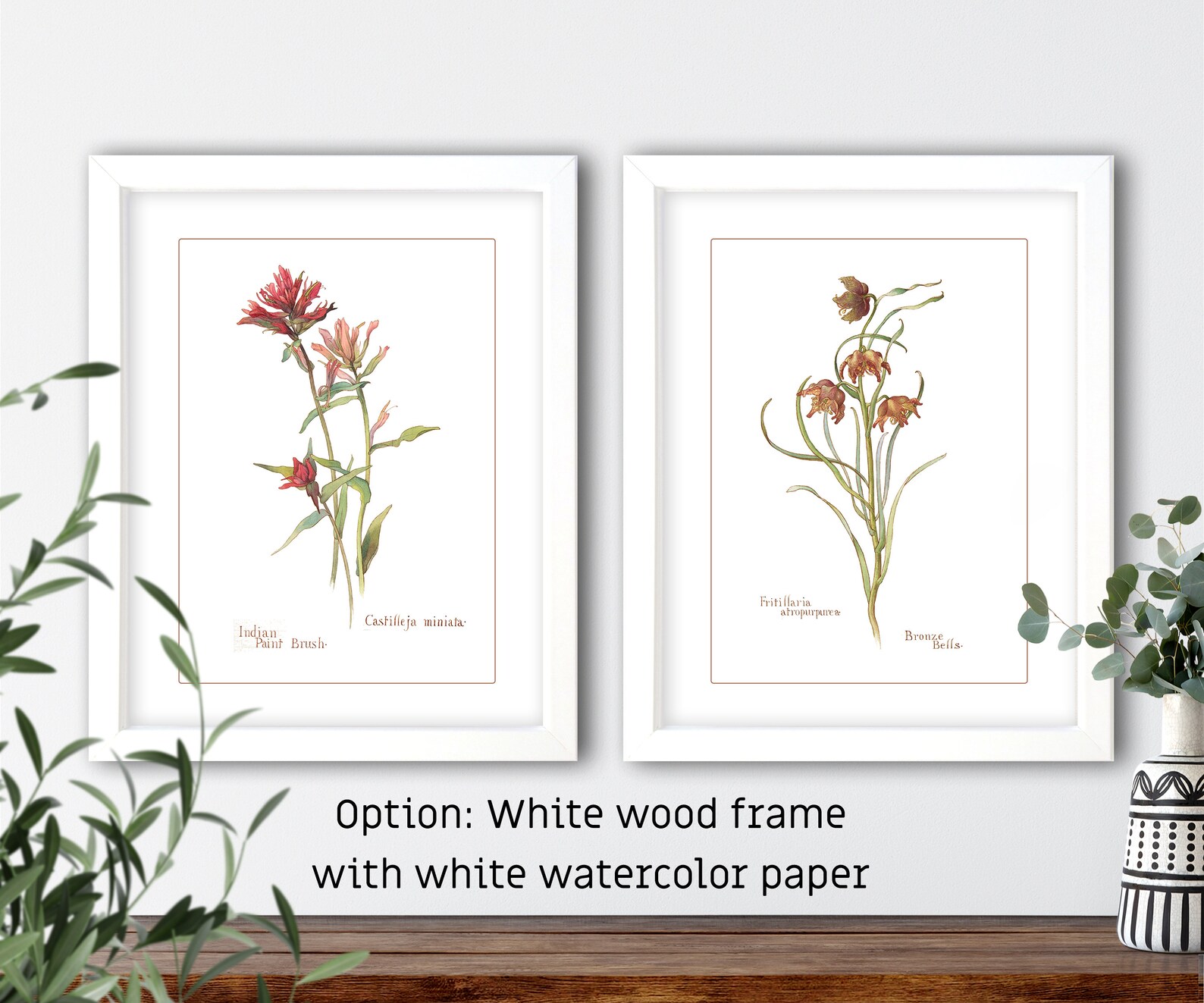 Vintage Wildflower Botanical Illustrations Set of 2 Natural | Etsy