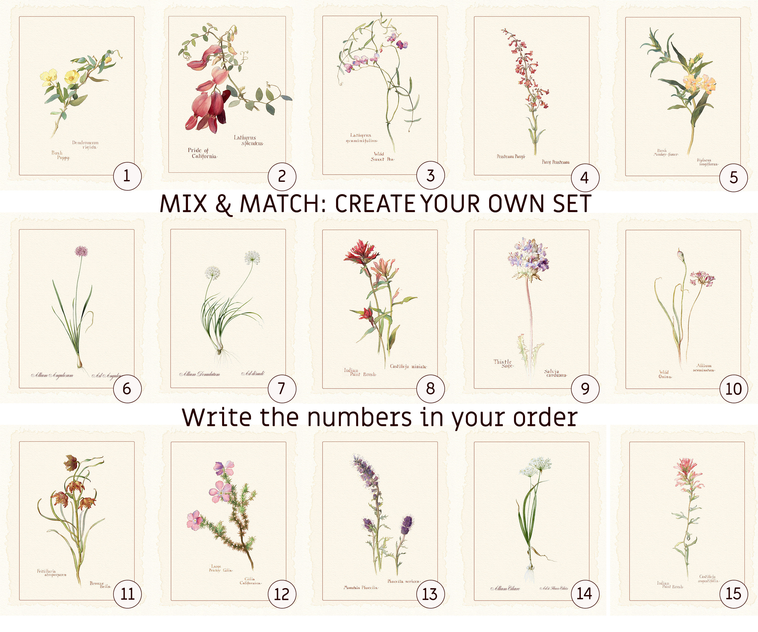 Vintage Wildflower Botanical Illustrations Set of 2 Natural | Etsy