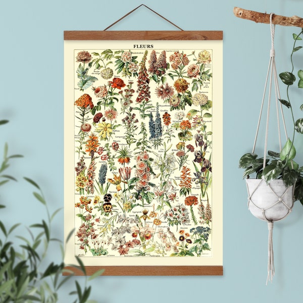 Scientific Illustration Prints - Etsy