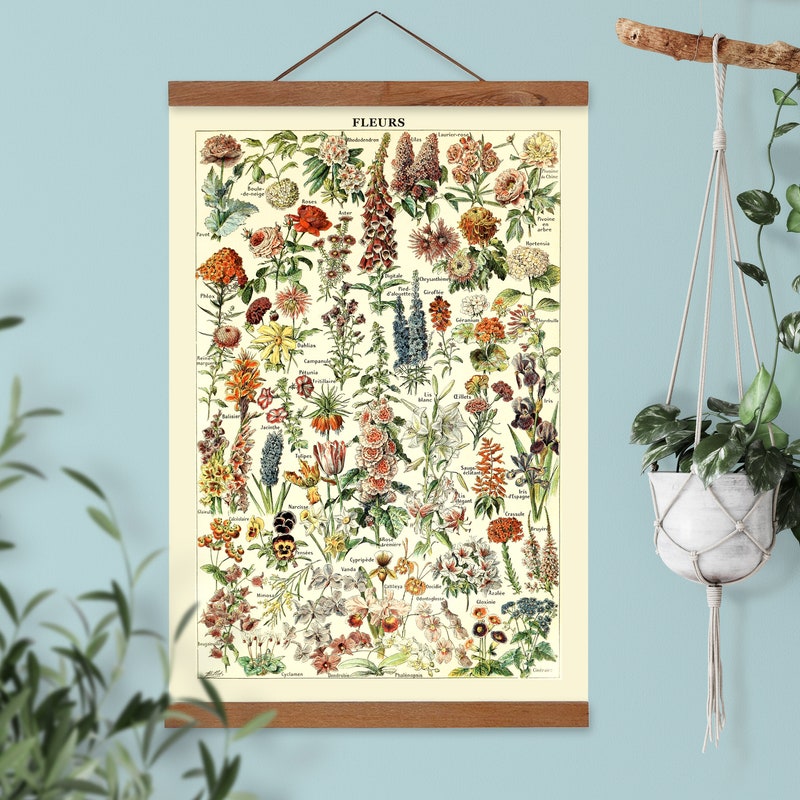 Botanical Poster - Etsy