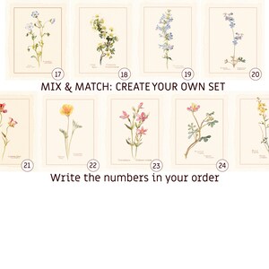 Vintage Wildflower Botanical Illustrations Set of 2 Natural History ...
