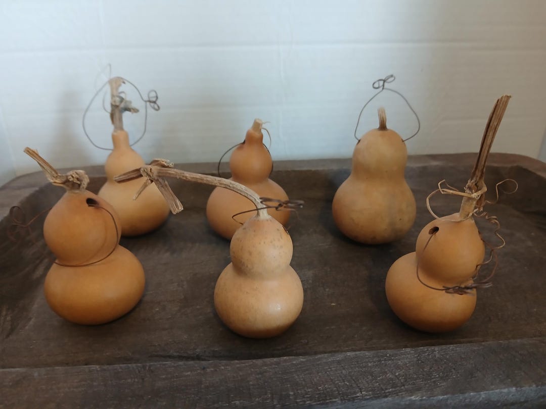 Small Gourd Hangers, Natural Small Gourds, Primitive Bowl Fillers, Set ...