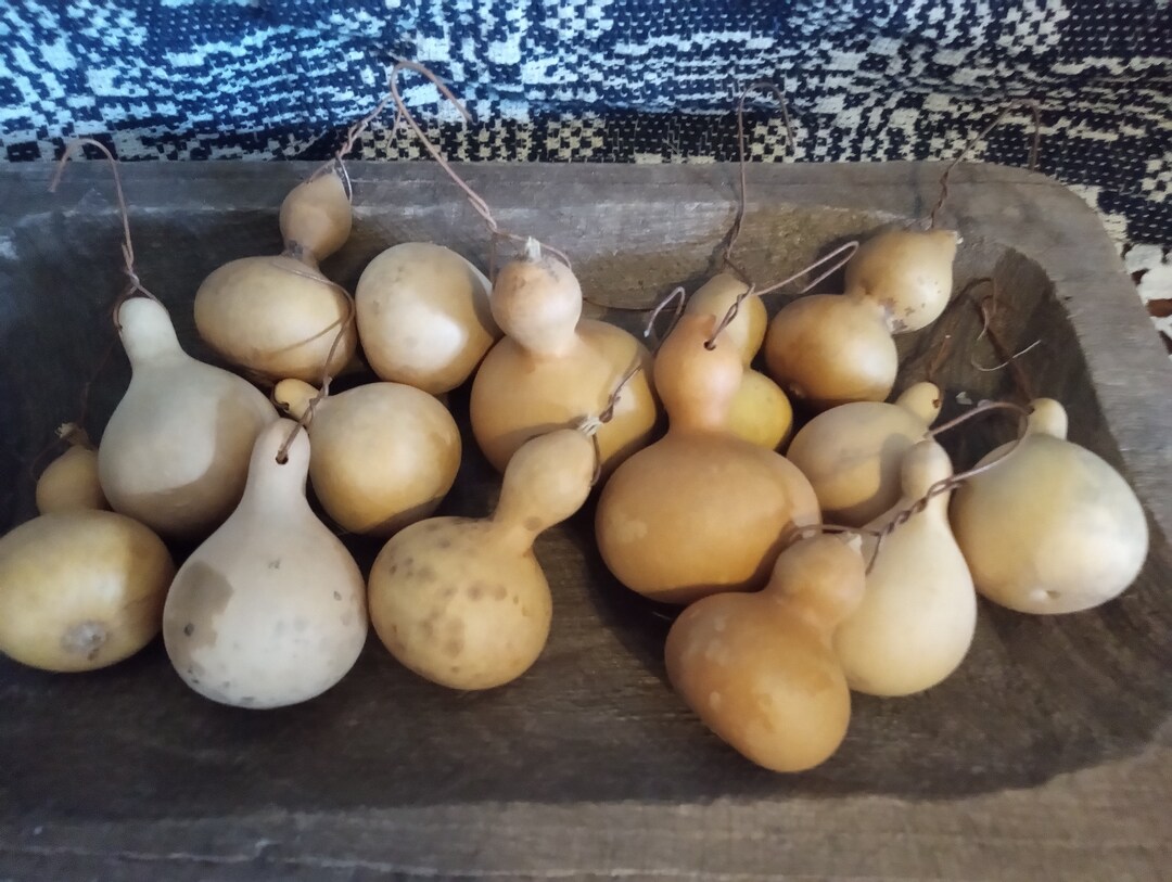 Mini Gourd Ornaments, Natural Small Spinner Gourds With Hangers, Set of ...