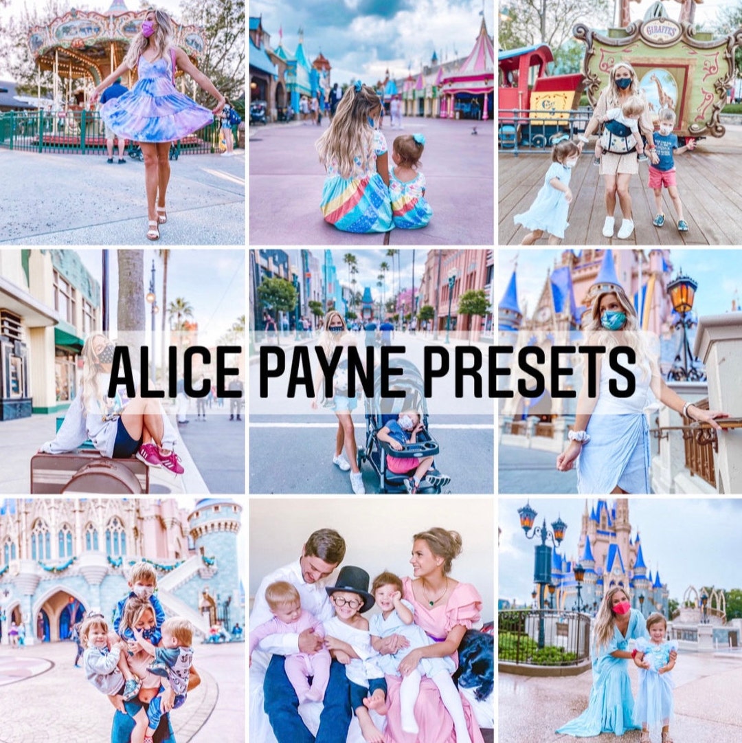 Alice Payne Presets - Etsy
