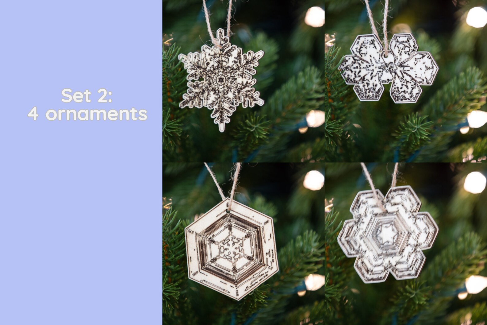Wilson Bentley Snowflake Ornament Set: Real Snowflakes on Wood - Etsy