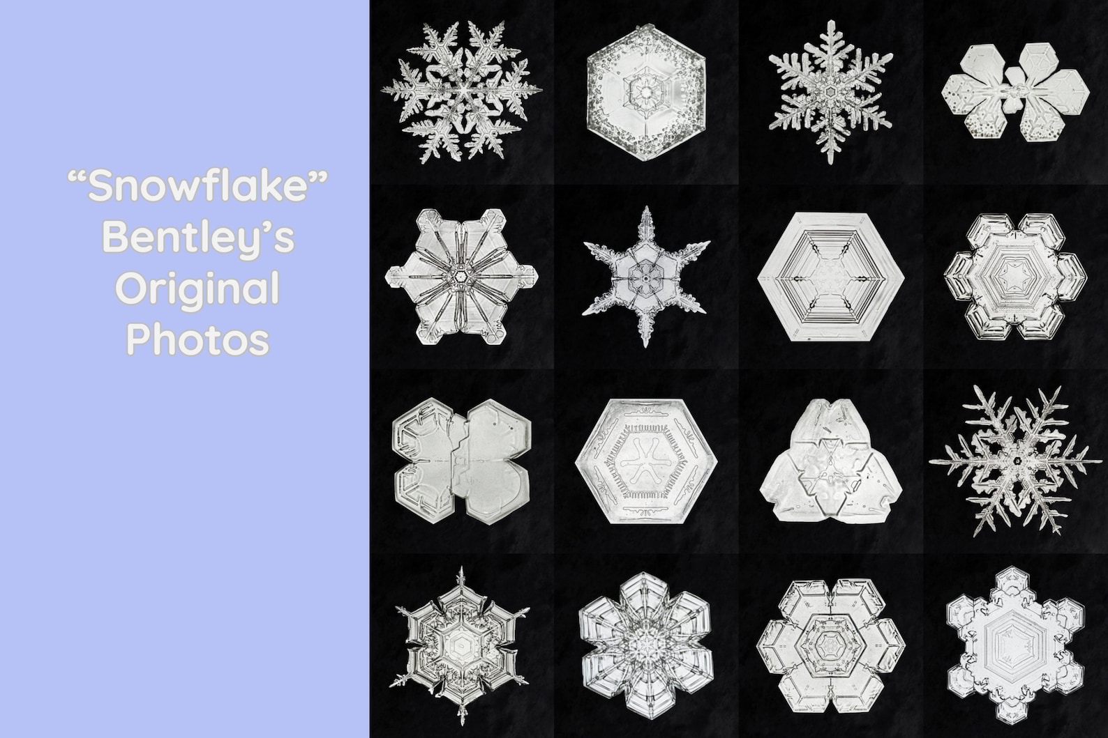 Wilson Bentley Snowflake Ornament Set: Real Snowflakes on Wood - Etsy