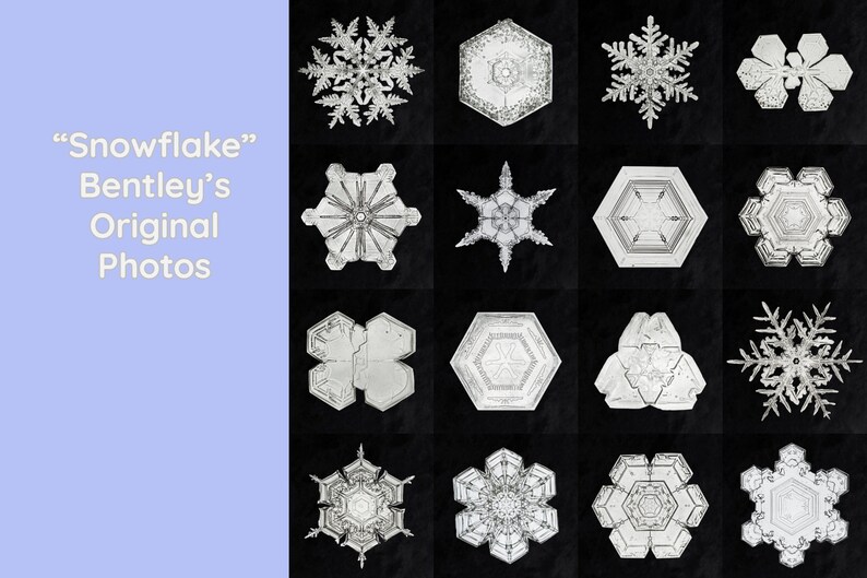 Wilson Bentley Snowflake Ornament Set: Real Snowflakes on Wood - Etsy