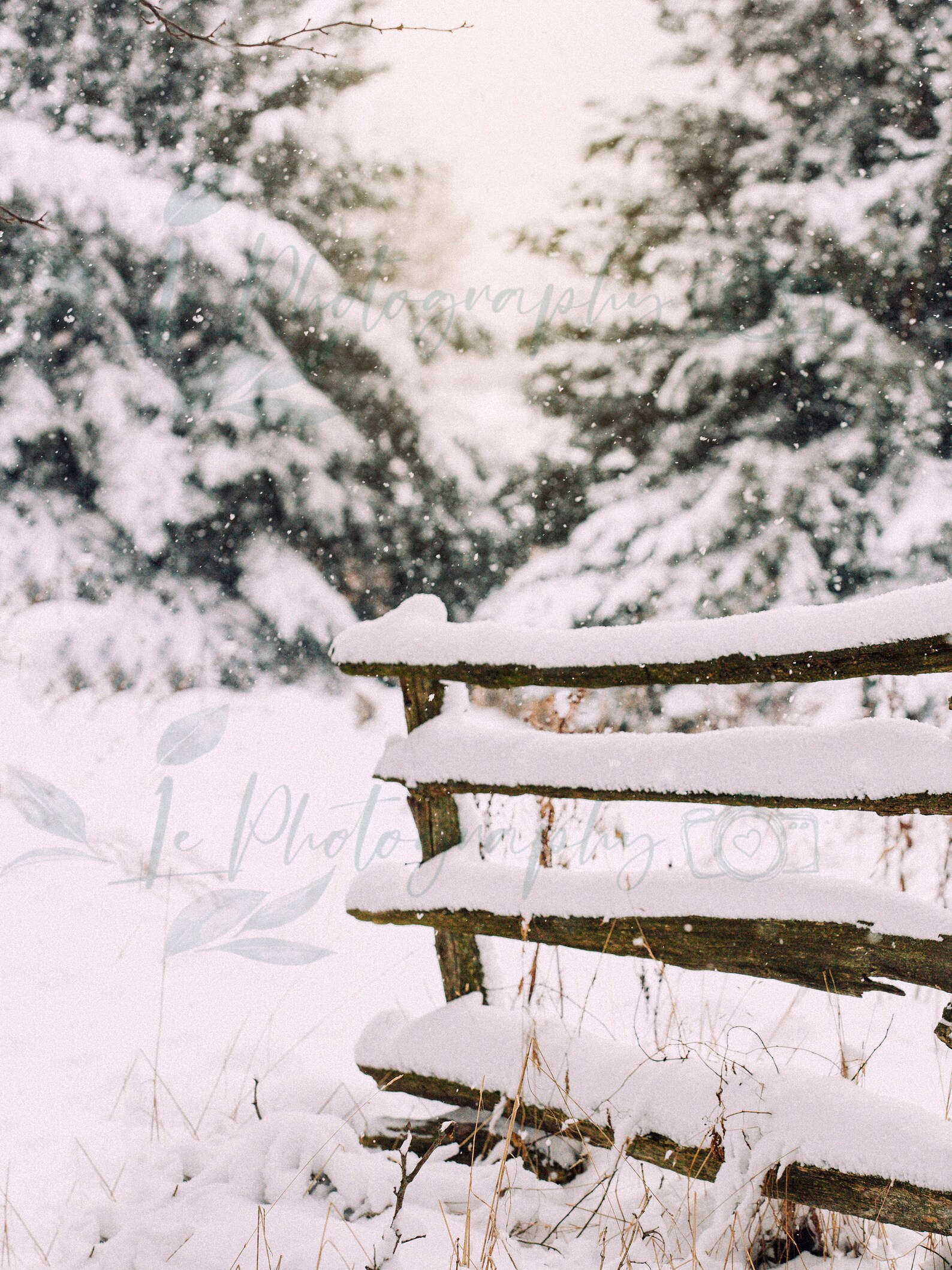 5 Winter Digital Backdrops, Snowy Pine Tree Digital Backdrop, Digital ...