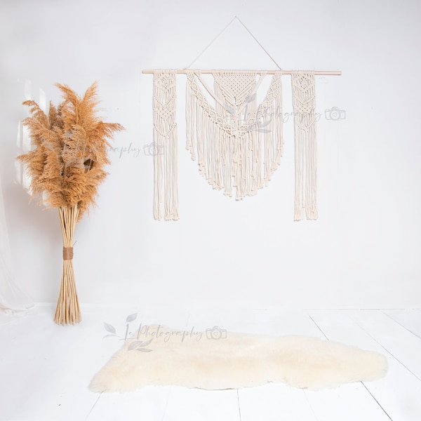 Senior Portrait Backdrops - Etsy