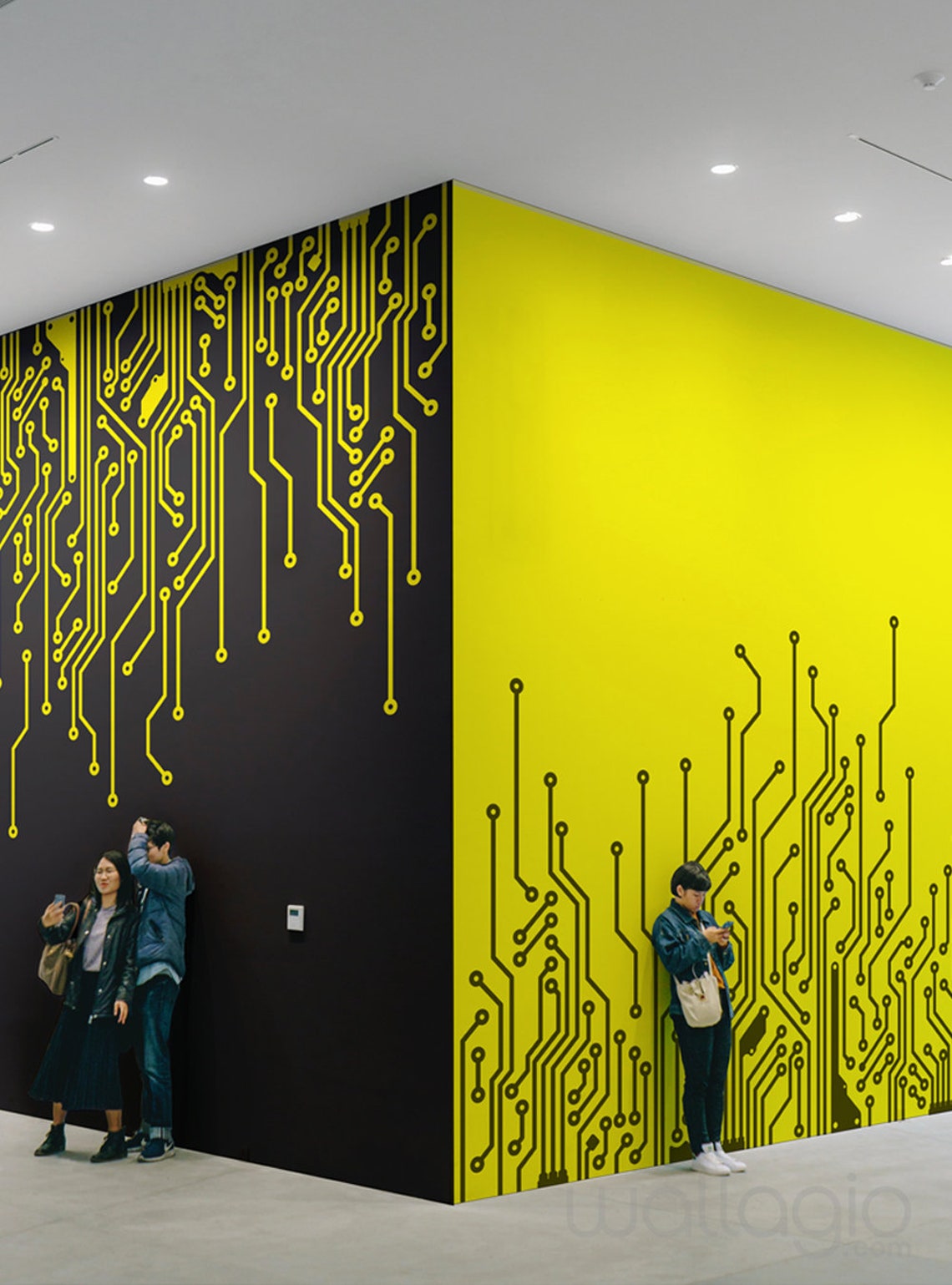 Technology Wall Decal Circuit Board Top Binary Code Wall Art Science ...