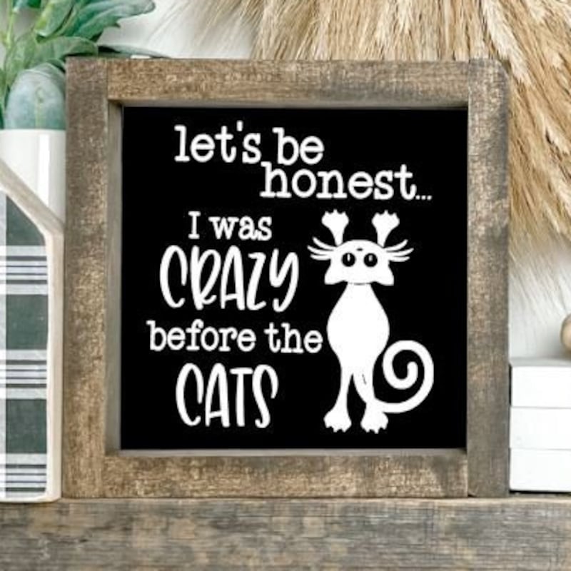 Funny Cat Signs - Etsy