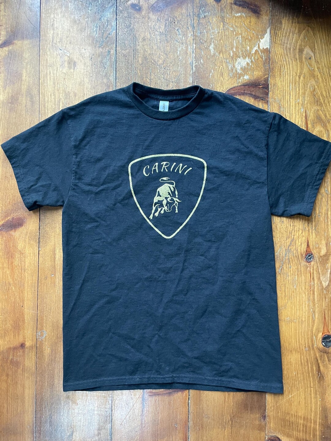 Multiple Phish LOT Shirts, Carini, Golgi, Reba - Etsy