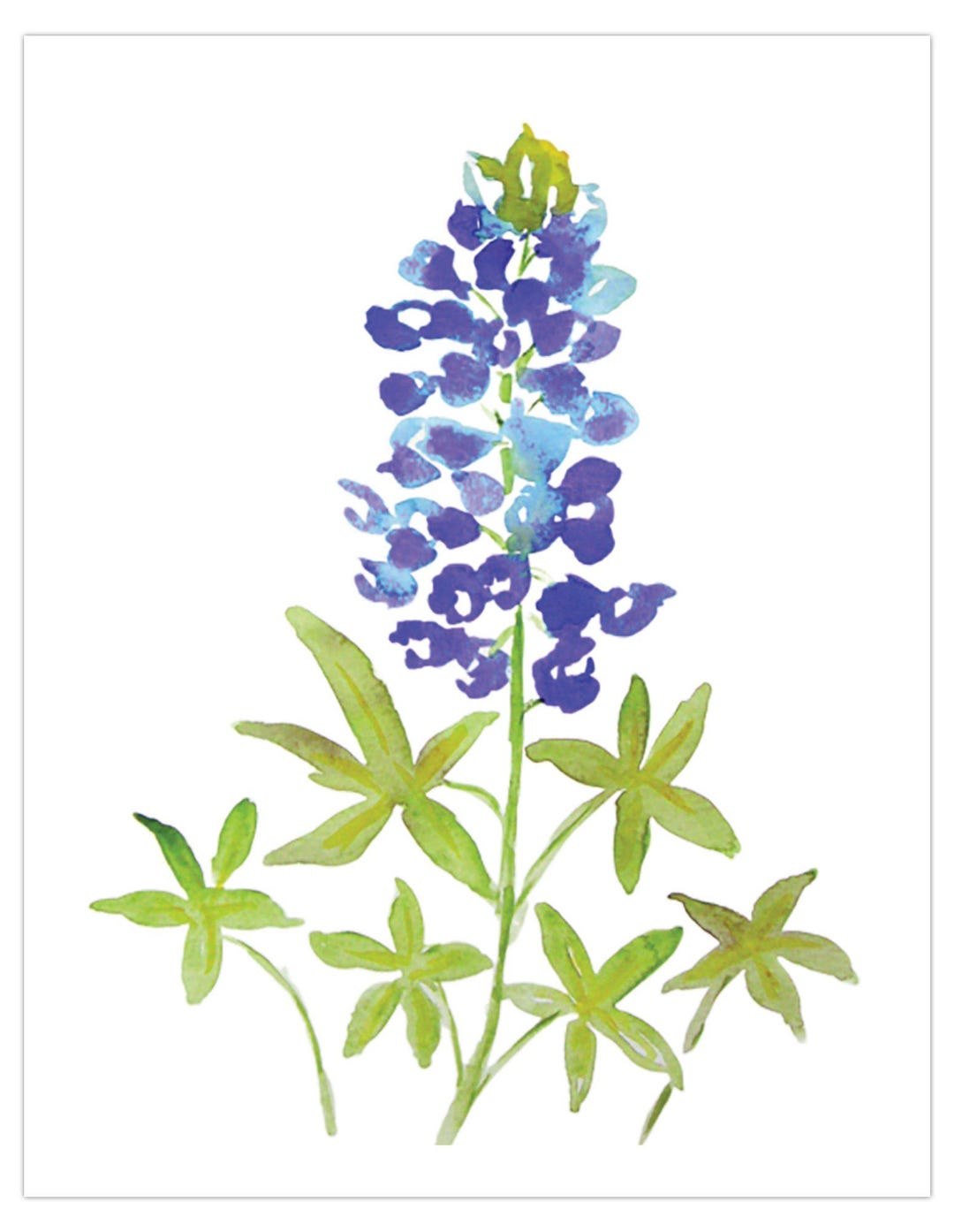 5 Texas Bluebonnet Greeting Cards, Floral Prints, Bluebonnet, Set of 5 ...