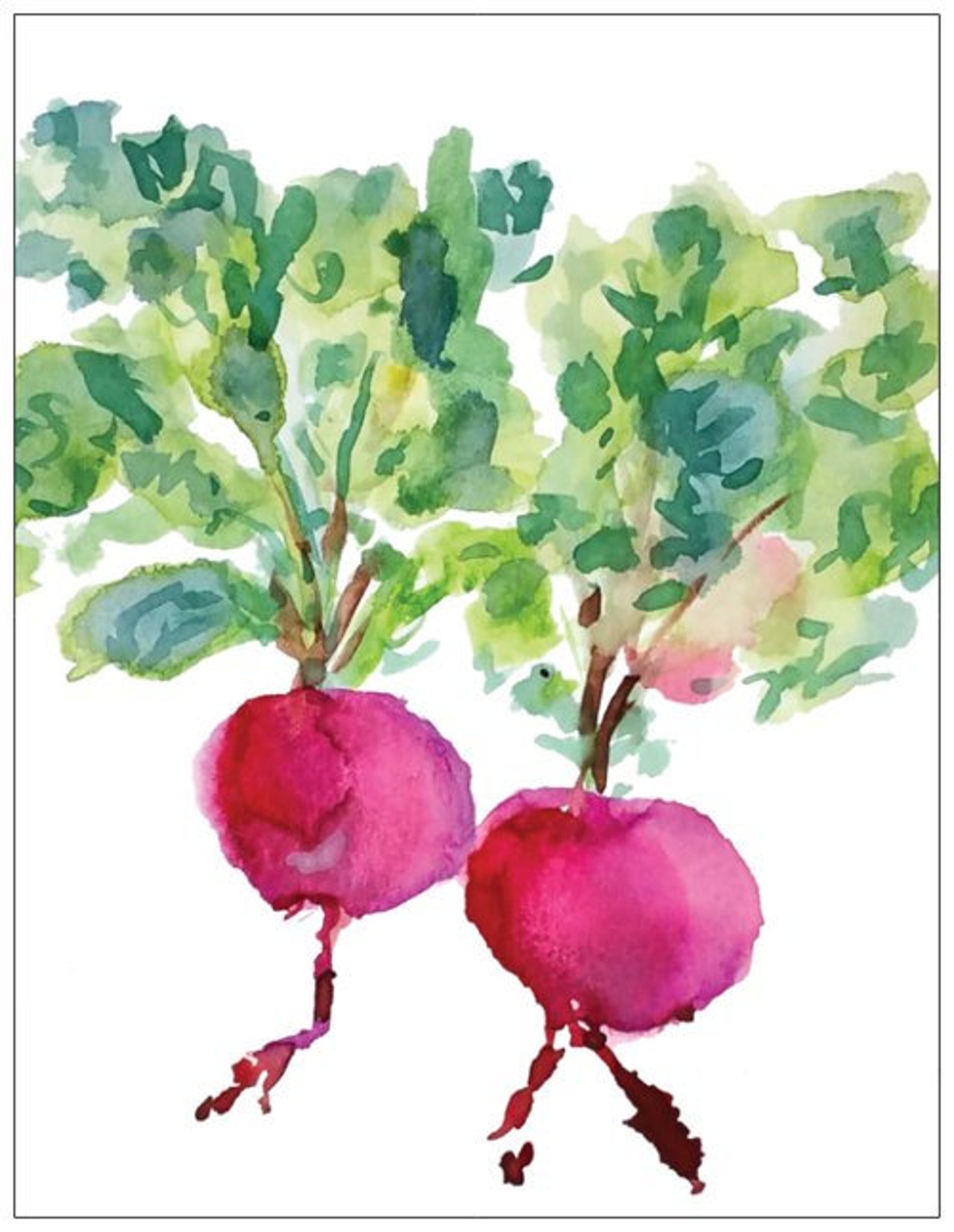 Colorful Fruit and Vegetable Greeting Cards, Carrots, Beets, Tomato ...
