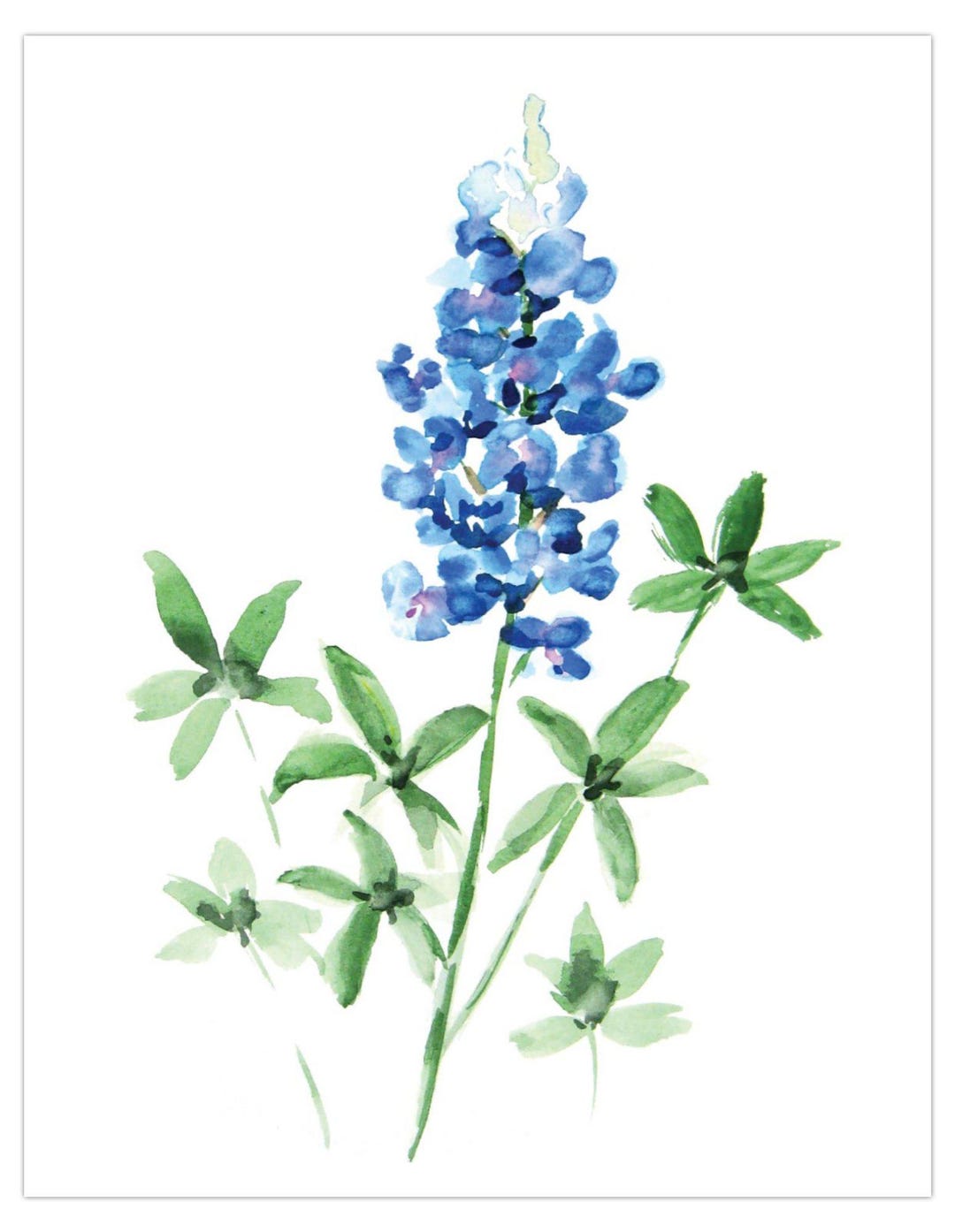 5 Texas Bluebonnet Greeting Cards, Flower Note Cards, 5 Bluebonnet ...