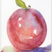 Colorful Fruit and Vegetable Greeting Cards, Carrots, Beets, Tomato ...