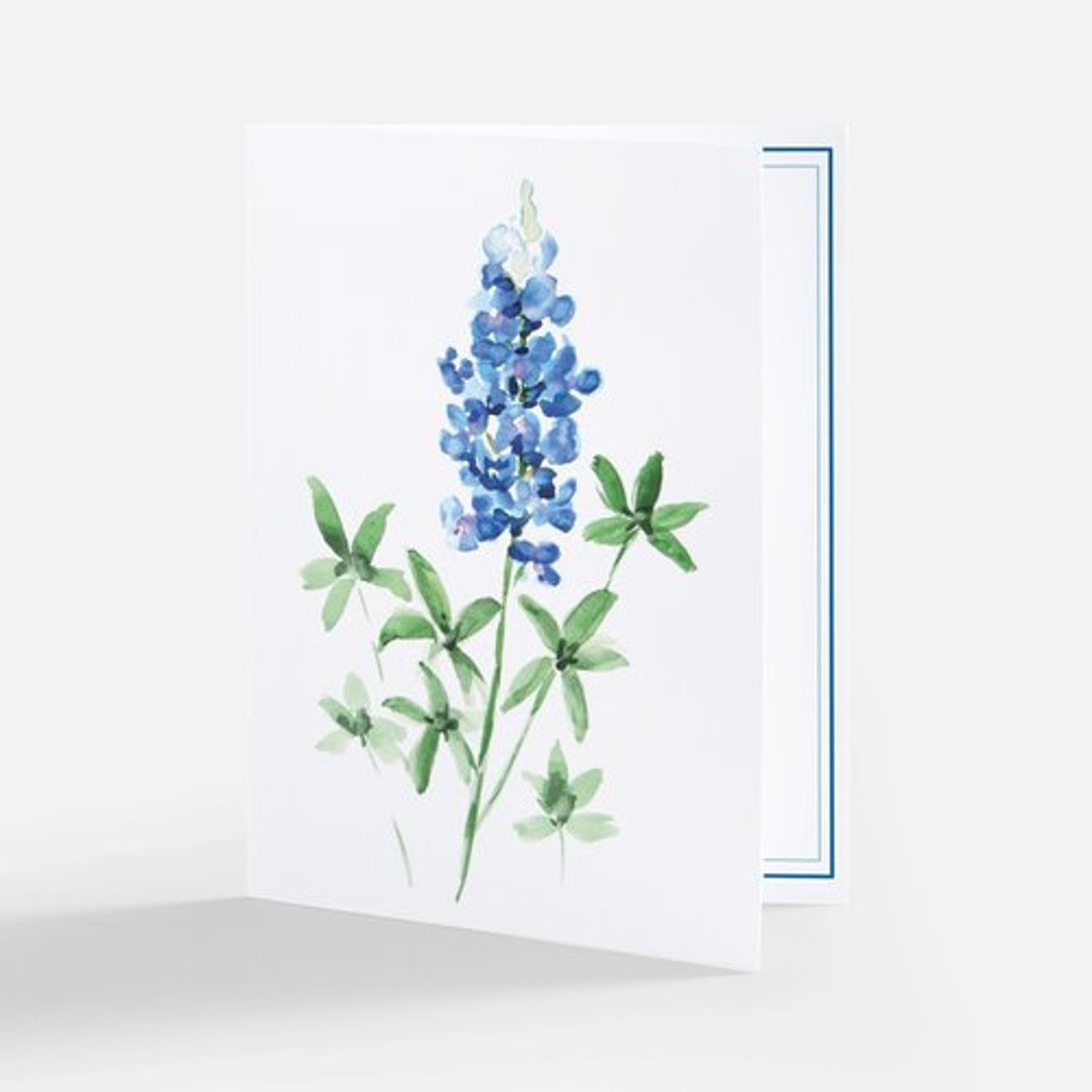5 Texas Bluebonnet Greeting Cards, Flower Note Cards, 5 Bluebonnet ...