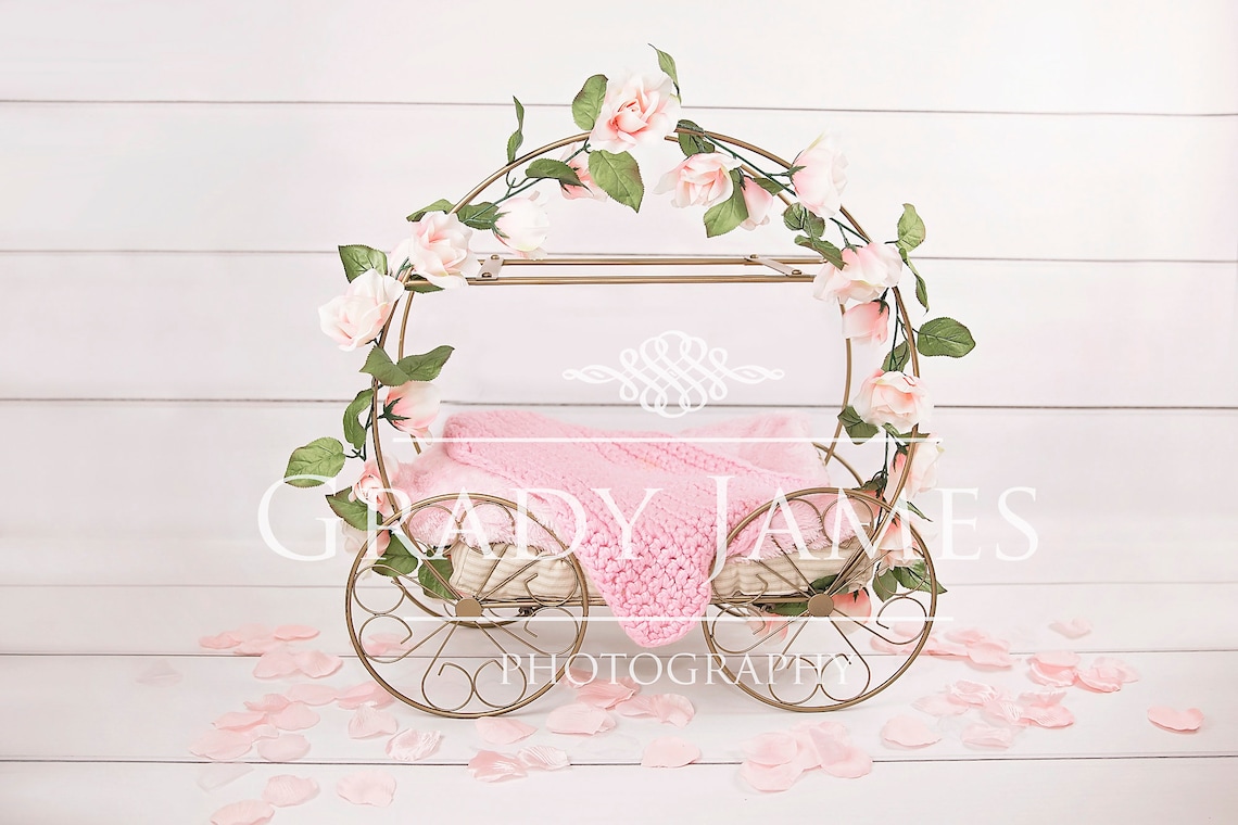 Newborn Digital Princess Carriage Combo Background Newborn Digital ...