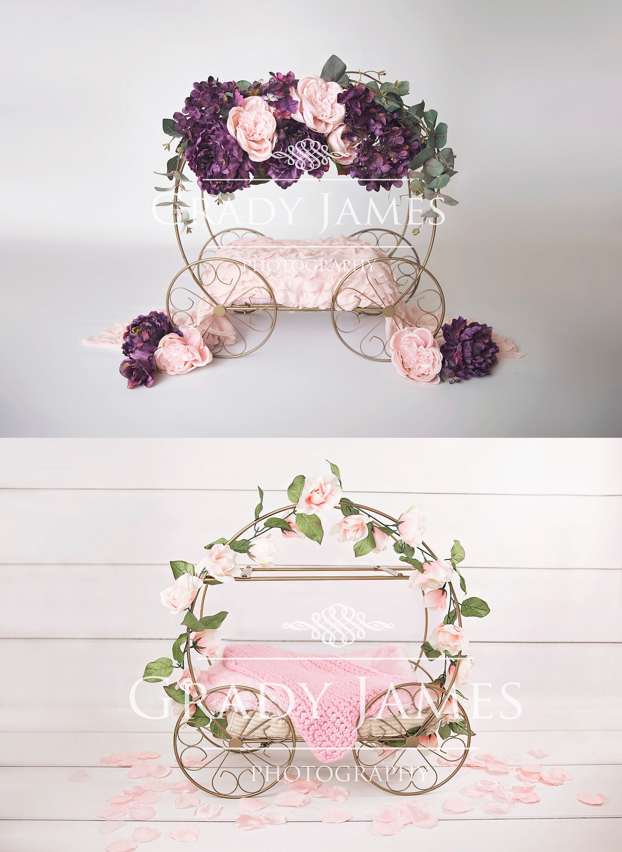 Newborn Digital Princess Carriage Combo Background Newborn Digital ...
