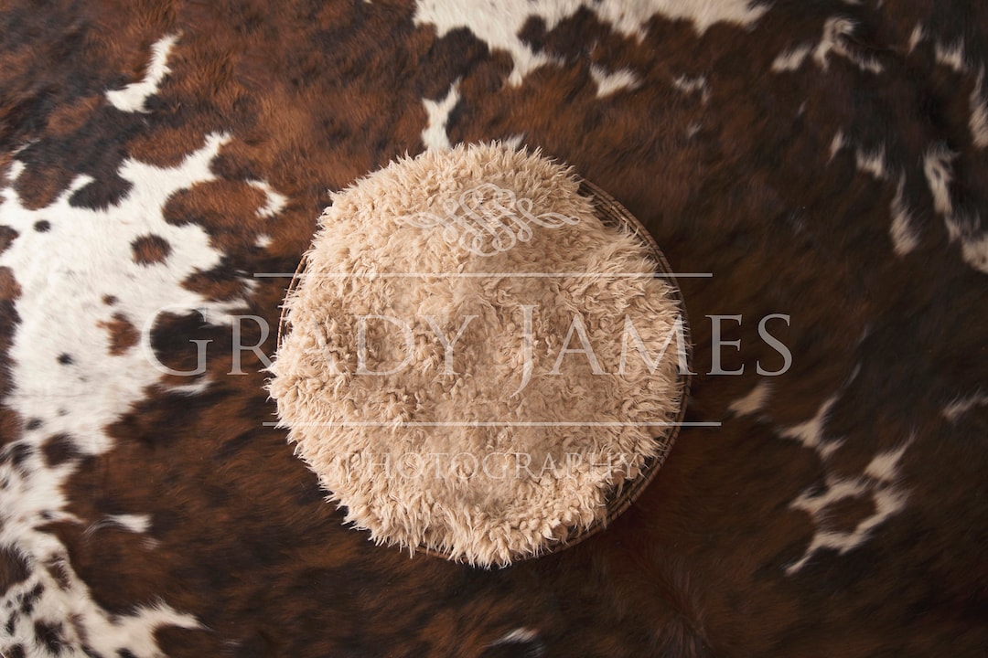 Newborn Cowboy Cow Print Western Digital Background - Etsy