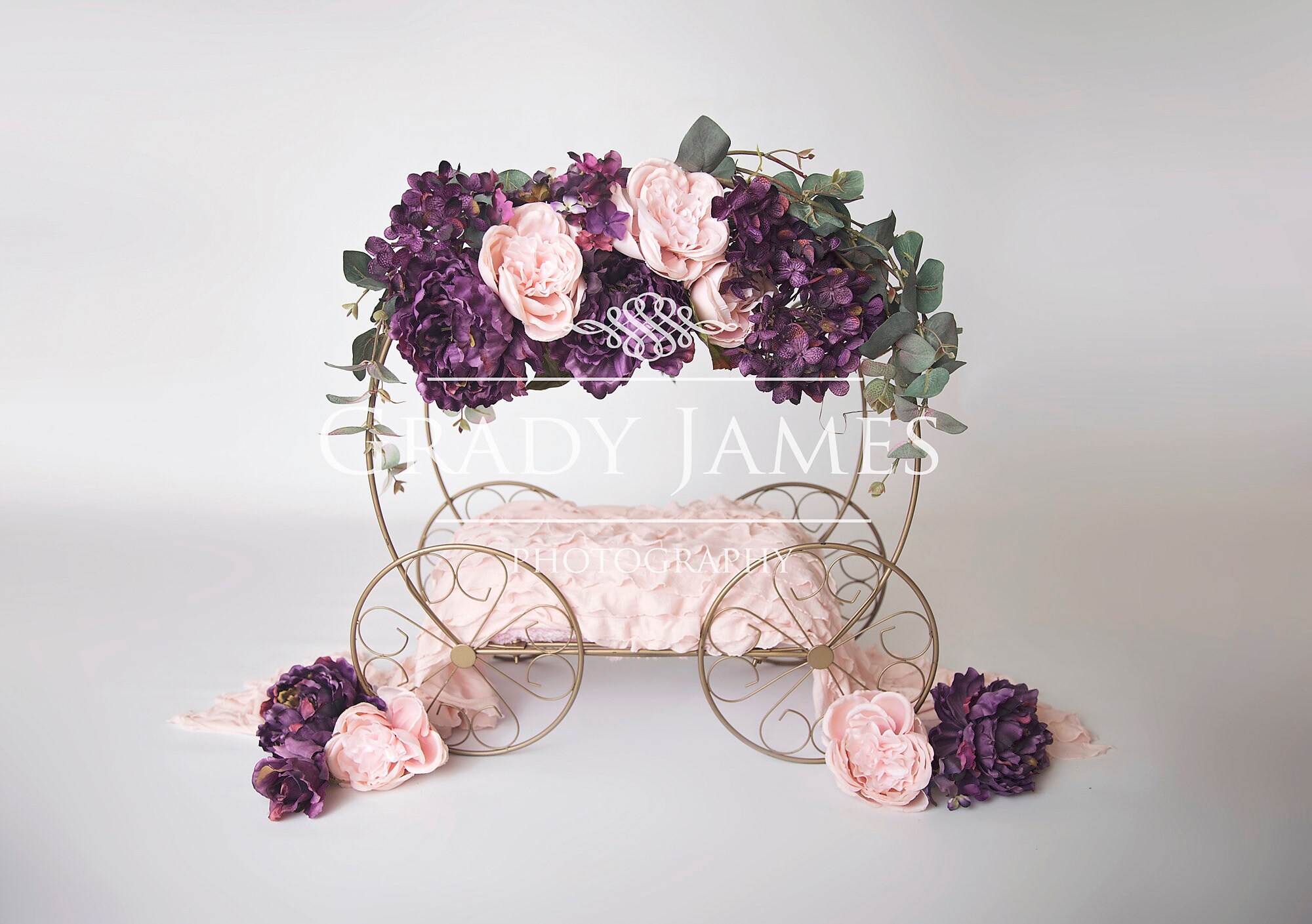 Newborn Digital Princess Carriage Combo Background Newborn Digital ...