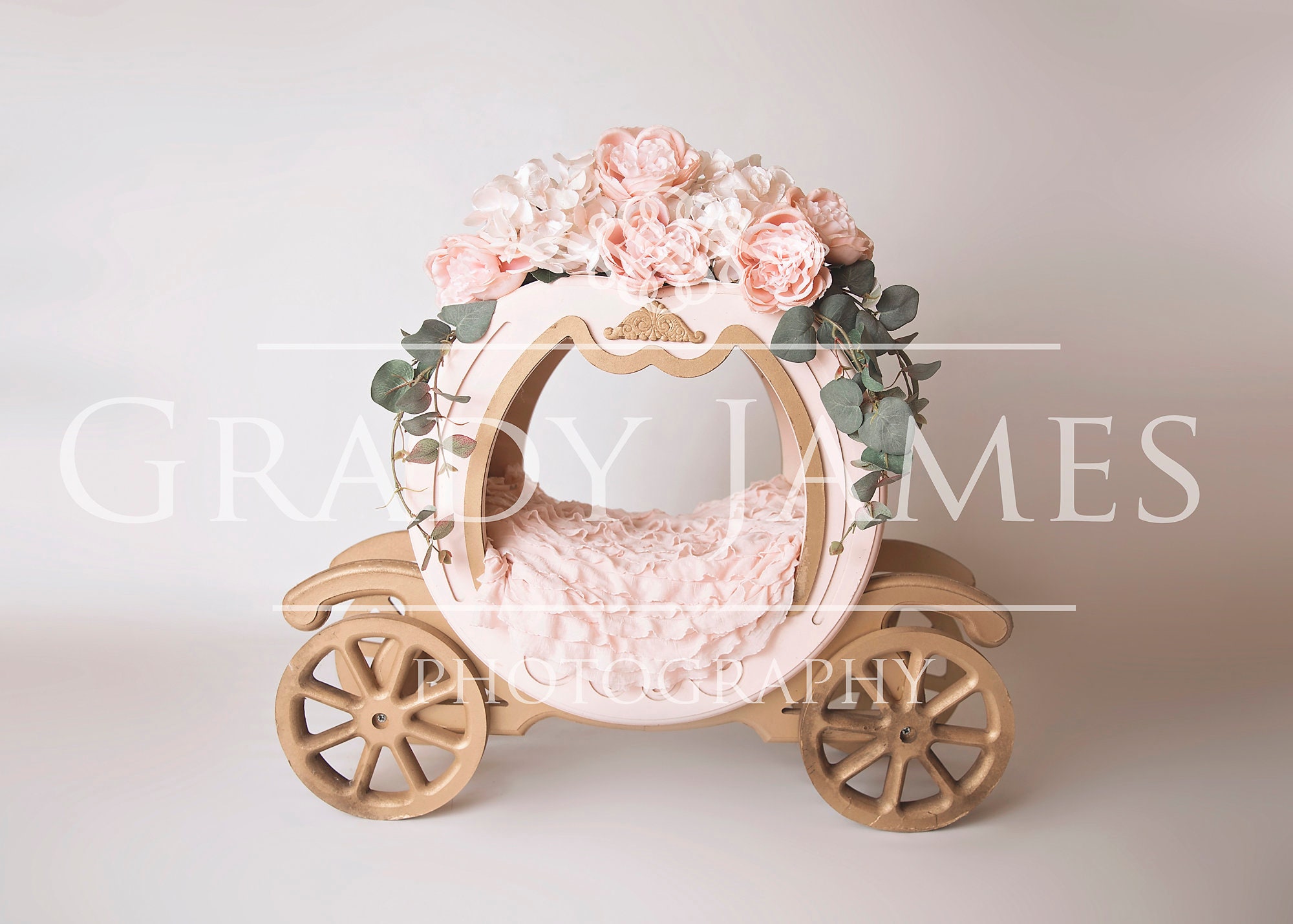 Newborn Digital Princess Carriage Background Newborn Digital Princess ...