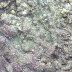 Trinity Alps Botryoidal Nephrite Jade Specimen, Large Green Bubble Jade ...