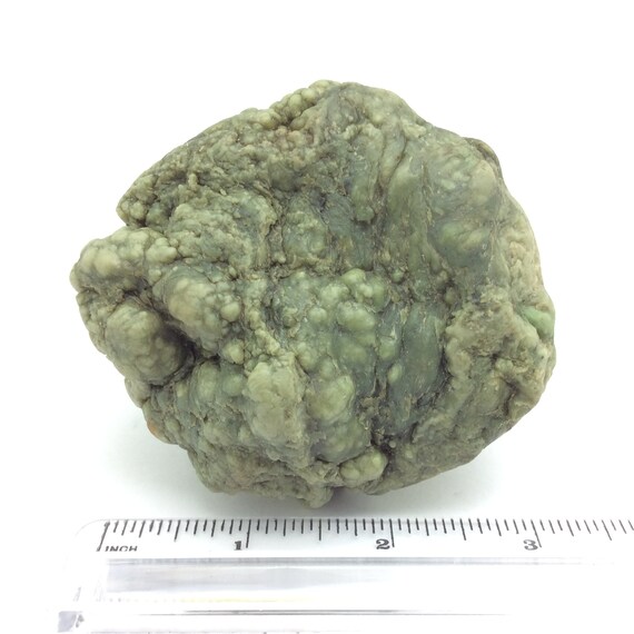 Mendocino Botryoidal Nephrite Jade Green Bubble Gem Stone Specimen From ...