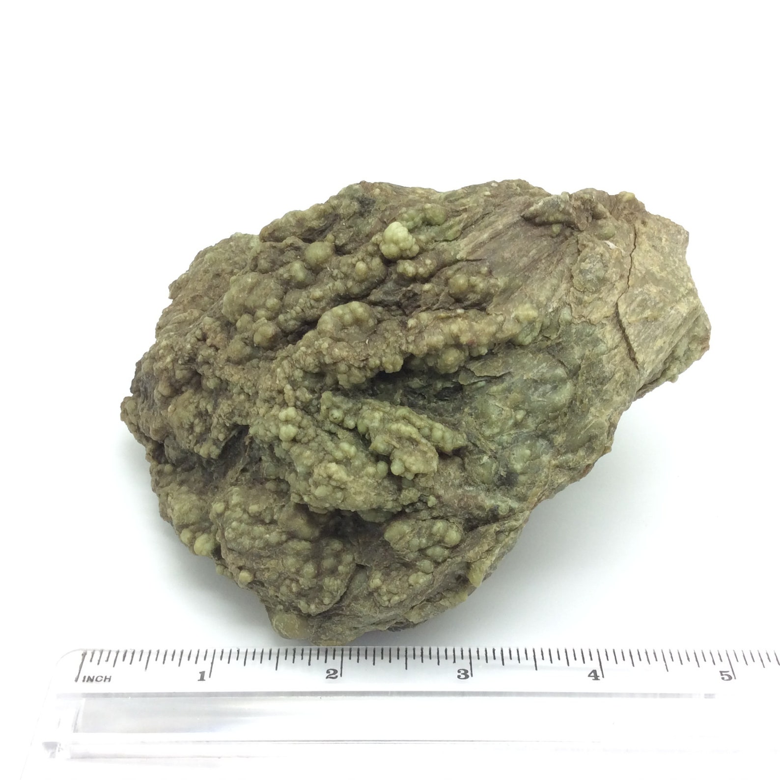 Trinity Alps Botryoidal Nephrite Jade Specimen Large Green - Etsy