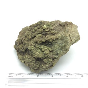 Trinity Alps Botryoidal Nephrite Jade Specimen, Large Green Bubble Jade ...