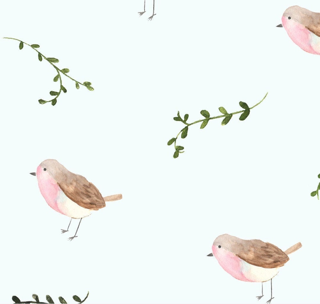 Baby Burp Cloth: Robin Birdie. Burp Rag. Shoulder Cloth. Robin Burp ...