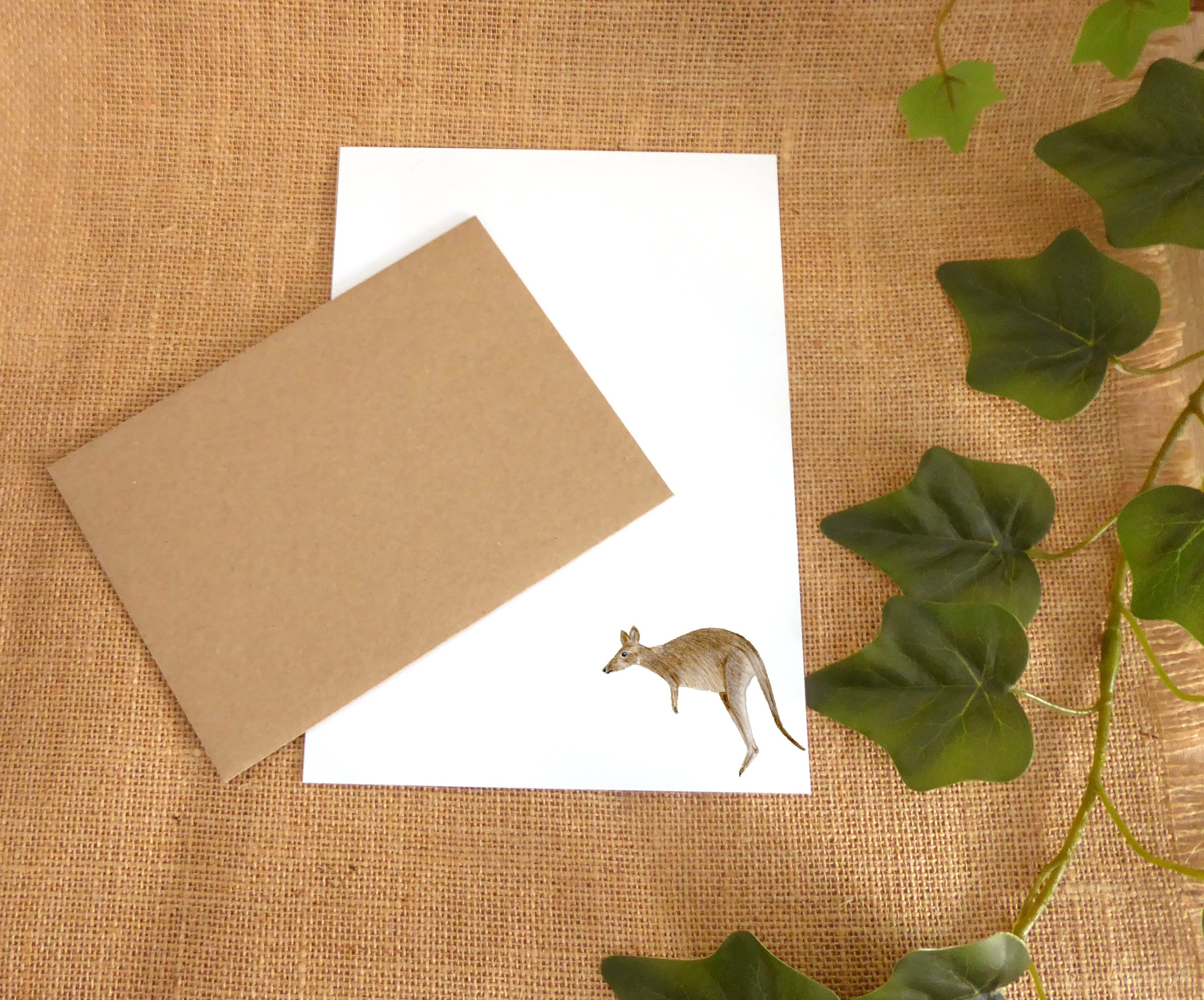 Kangaroo Letter Writing Set, Letter Writing Paper and Envelopes ...