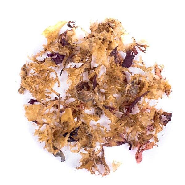 Sea Moss Transformation - Etsy