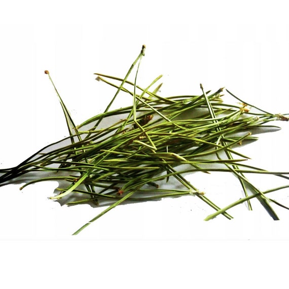 Organic White Pine Needle / Available From 1oz-32oz 28g-907g | Etsy