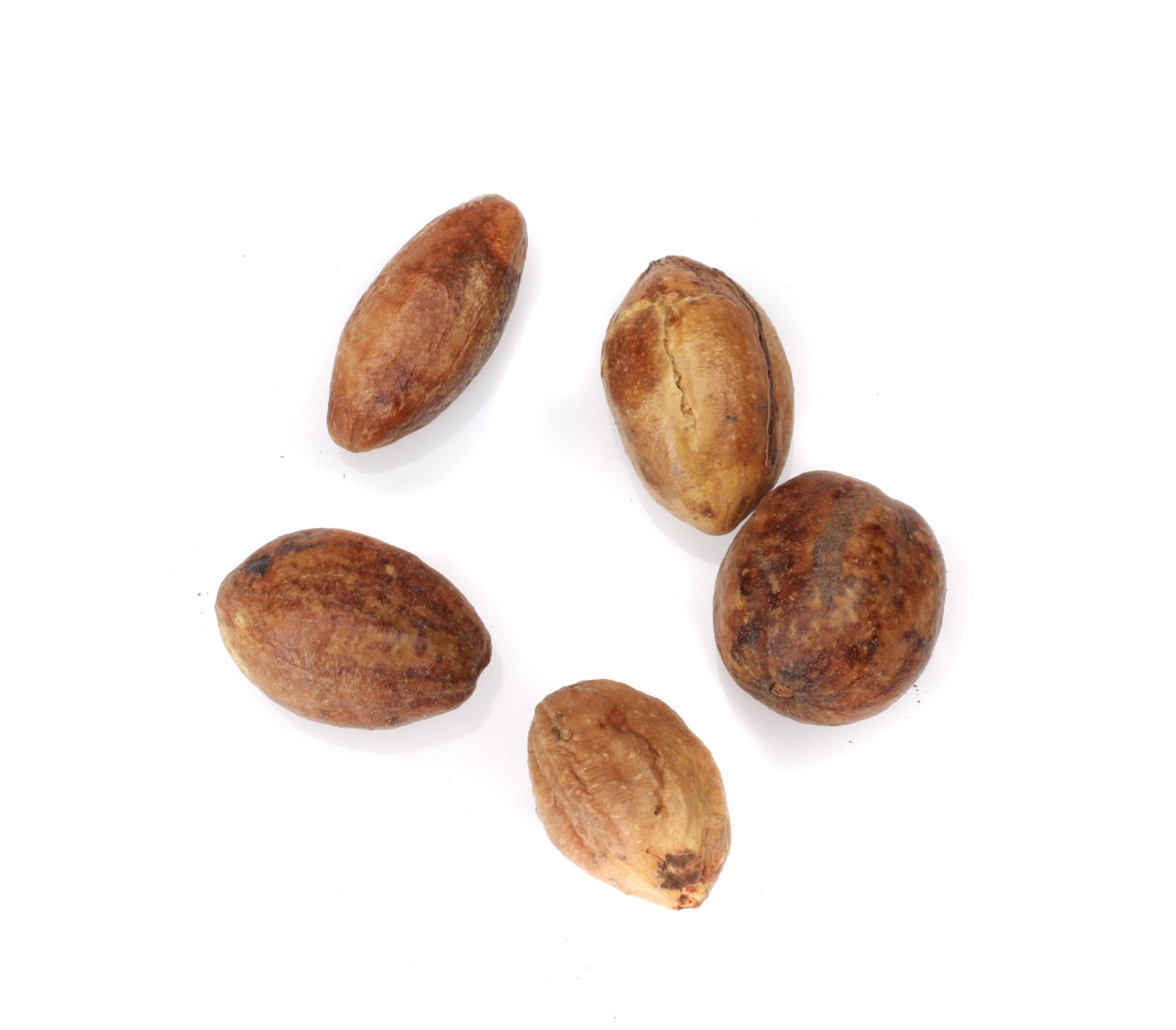 Organic Dried Haritaki Fruit / Available From 1oz-32oz | Etsy