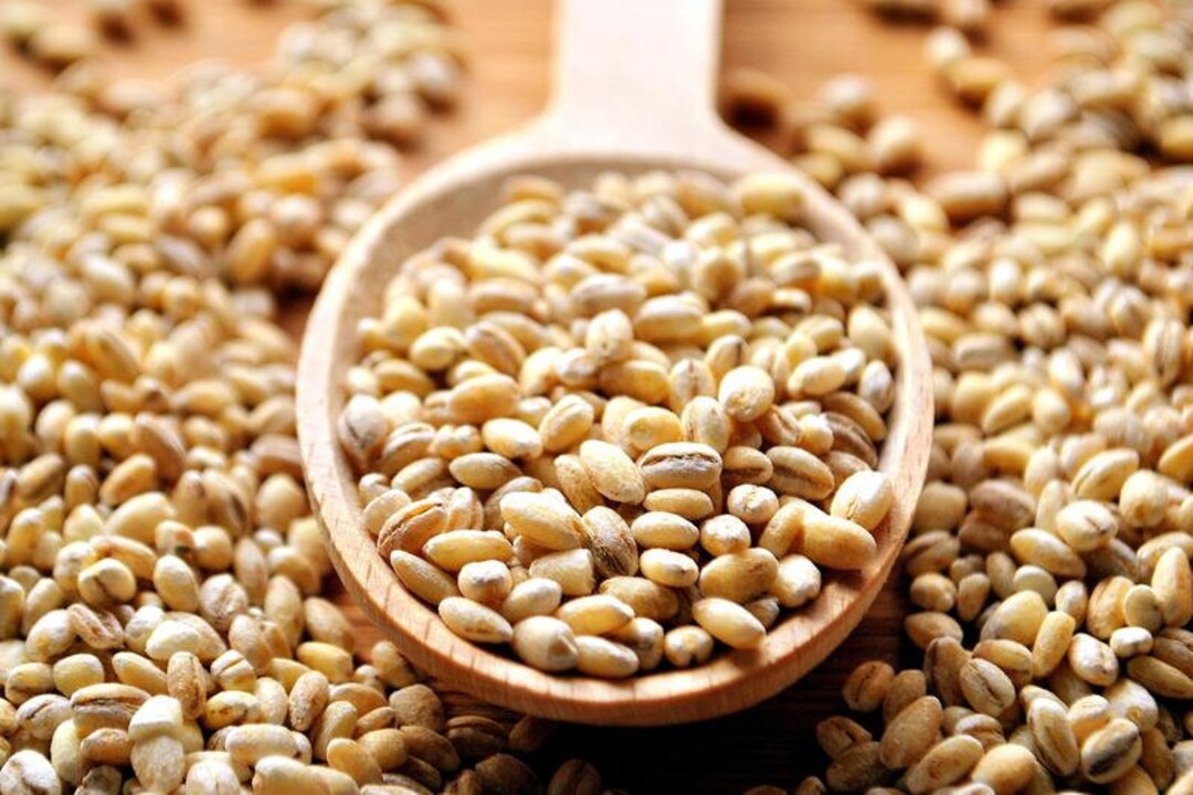 Organic Pearl Barley Groats / Vegan / No GMO / No Pesticides - Etsy